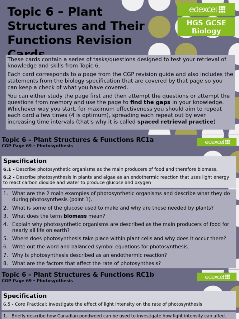 Plant Structures & Functions Revision Cards | PDF | Photosynthesis | Stoma