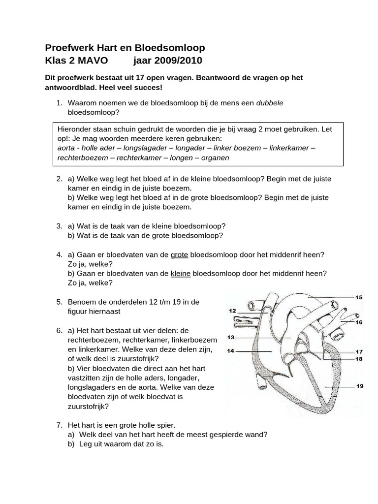 Proefwerk Hart en Bloedsomloop 2M | PDF