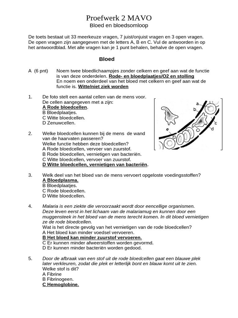 pw 2 mavo thema hart en bloedsomloop antwoordblad | PDF