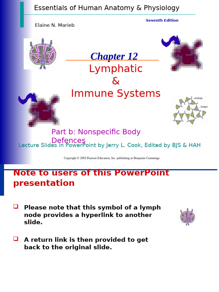 CH 12b Lymphatic Non-Specific Defenses 2 | PDF | Immune System | White ...