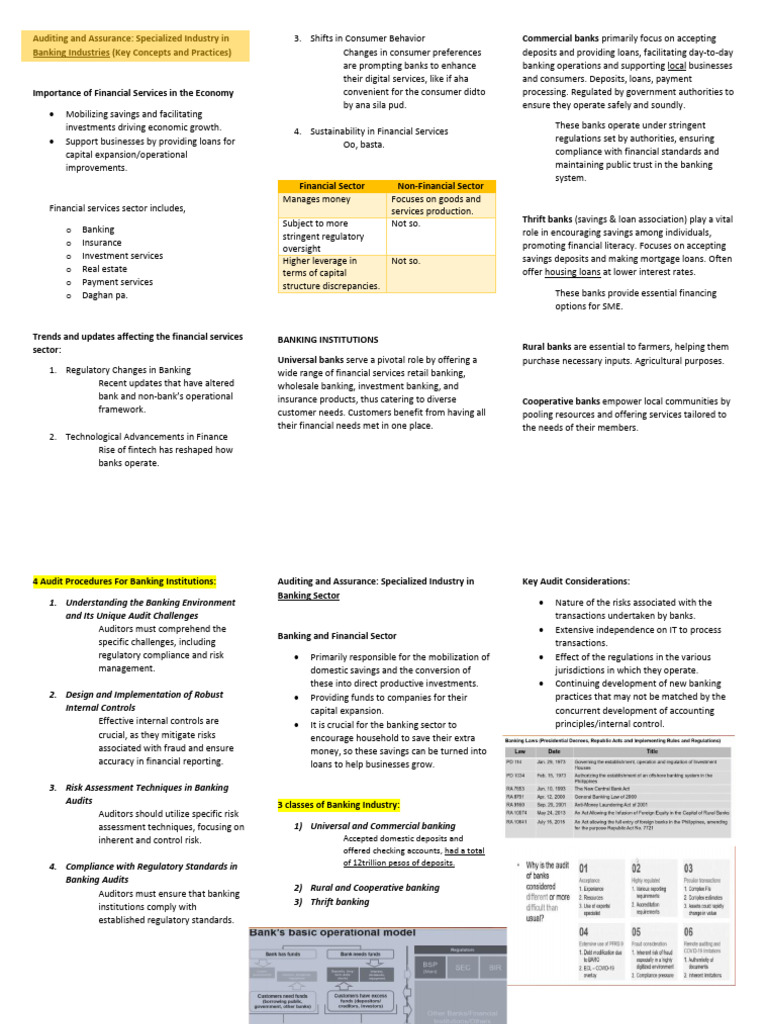 Banking Sector Audit Practices Explained | PDF | Banks | Internal Control