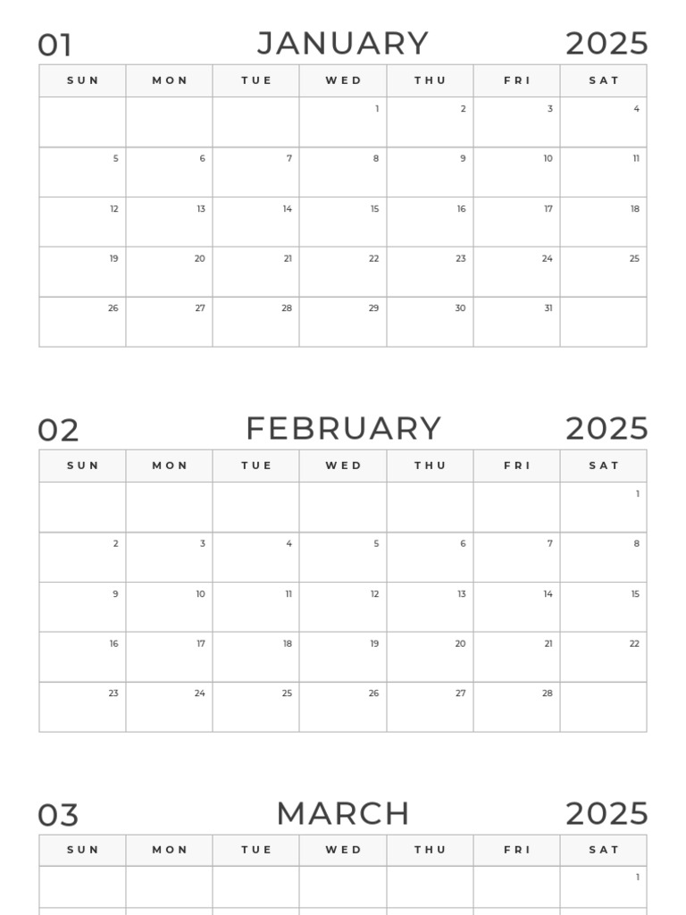 Black and White Minimalist Simple 2025 Monthly Calendar | PDF