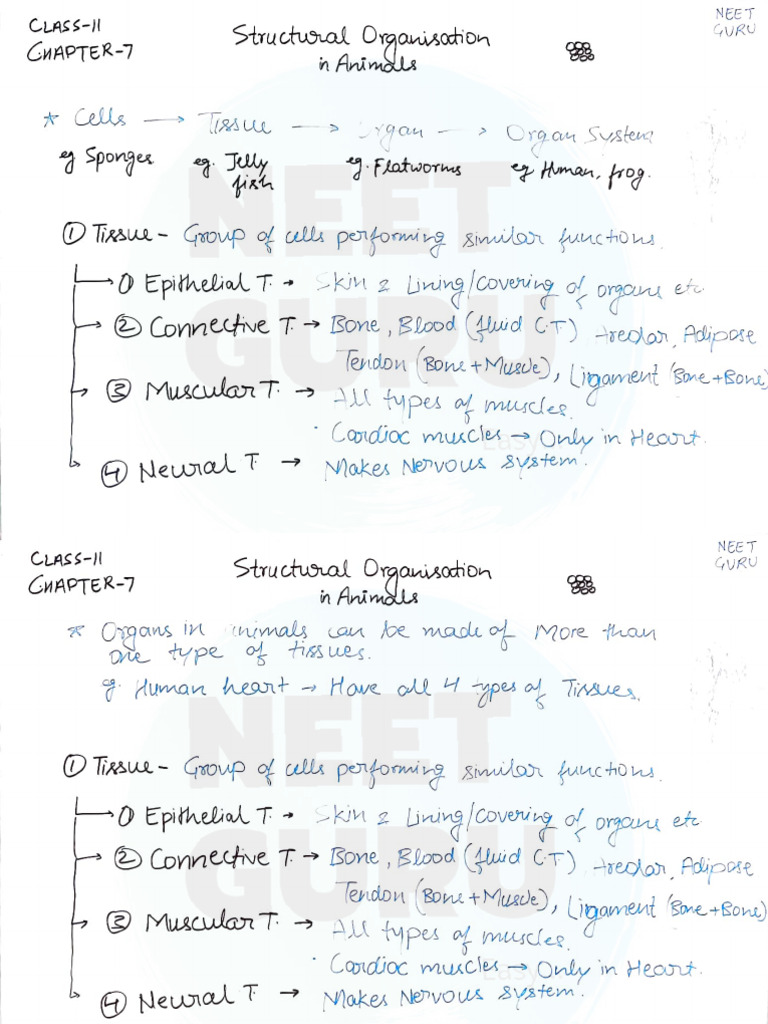 Classnotes Structural Organisation in Animals | PDF | Anatomy | Nervous ...