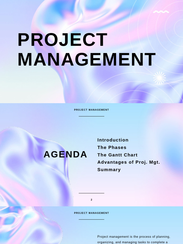 The Advantages of Project Management | PDF | Project Management | Computing