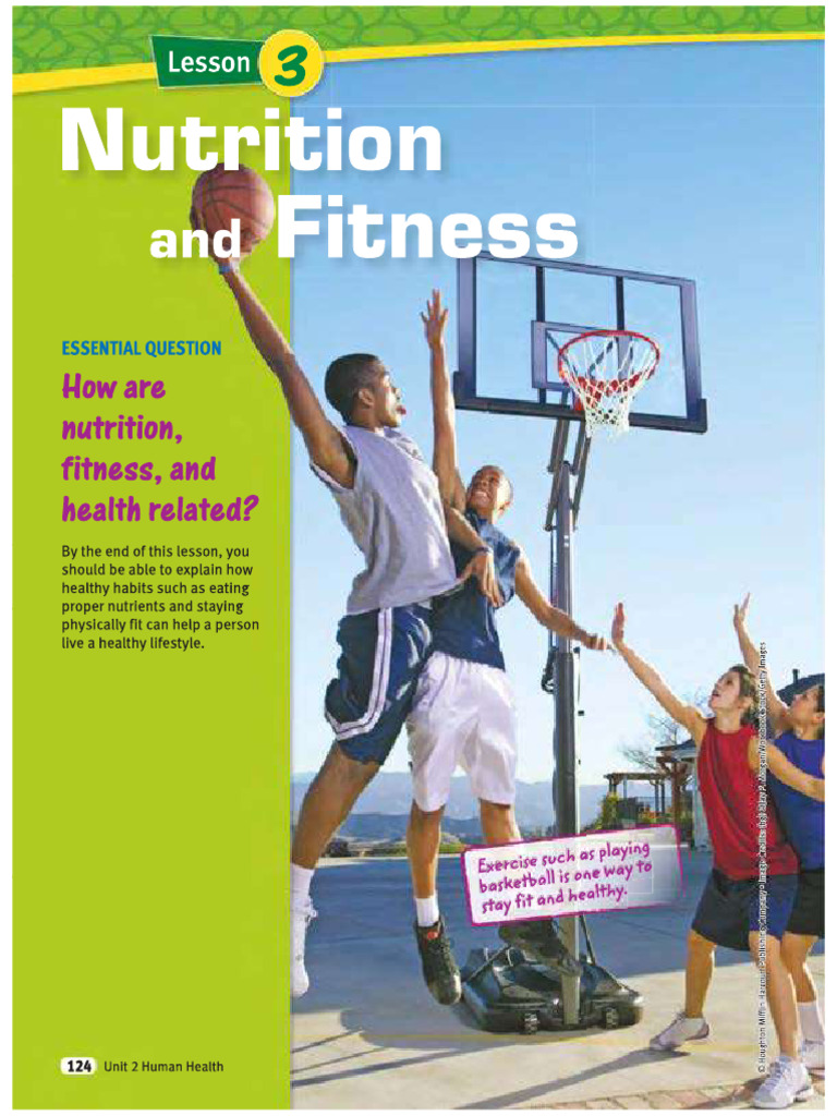 Grade 6 Science Textbook PDF-Part 1 | PDF | Leaf | Flowers