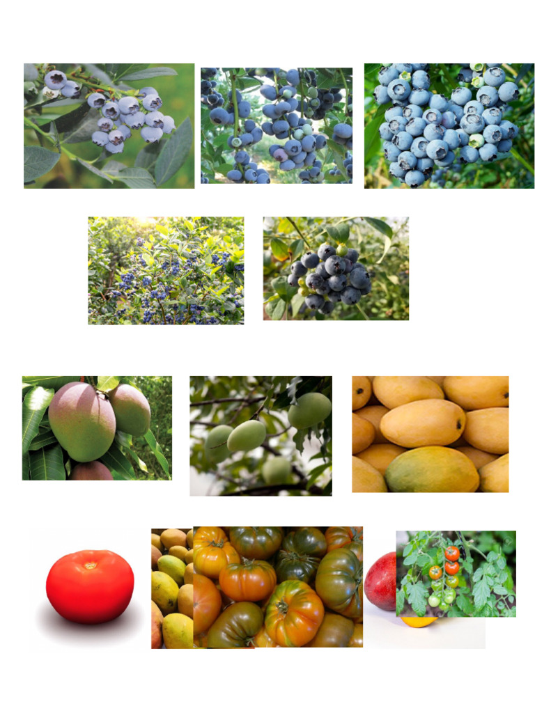 Documento (1) (2)123445 | PDF