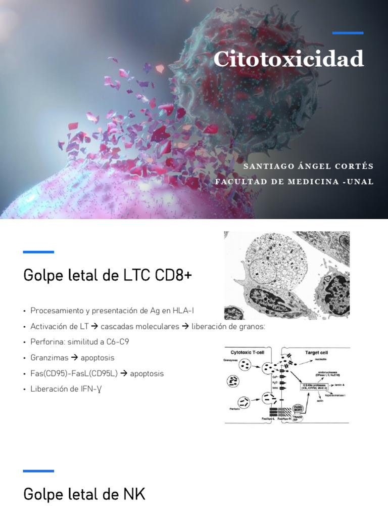 Monitoria 2.5 Citotoxicidad | PDF
