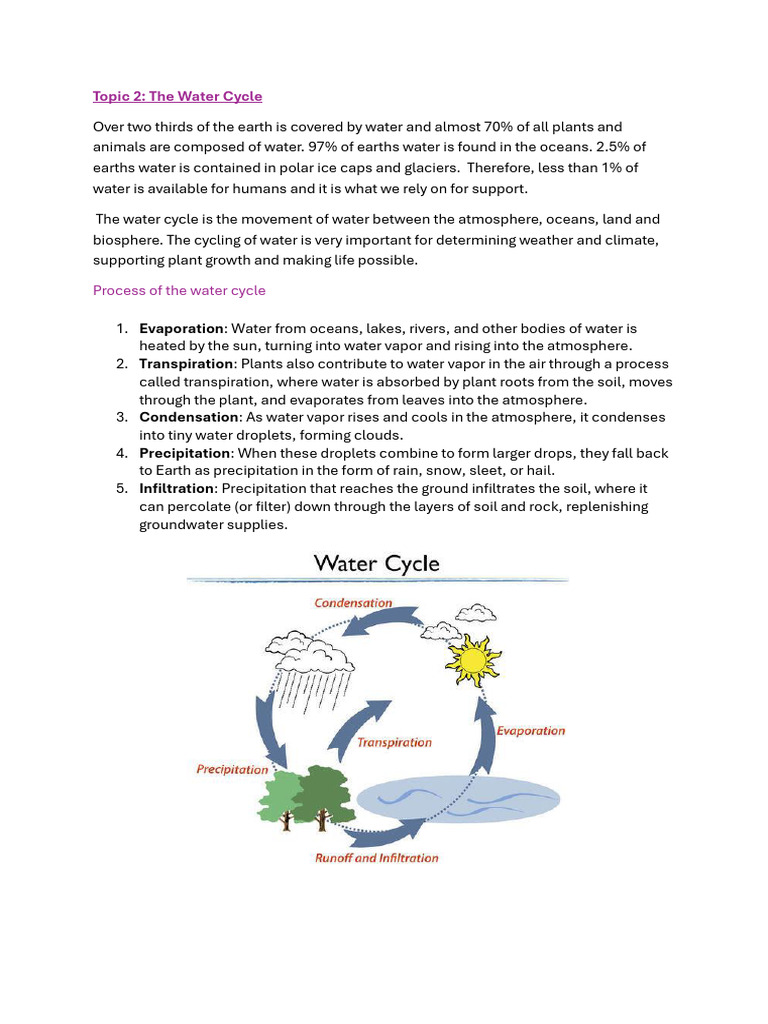 The Water Cycle | PDF