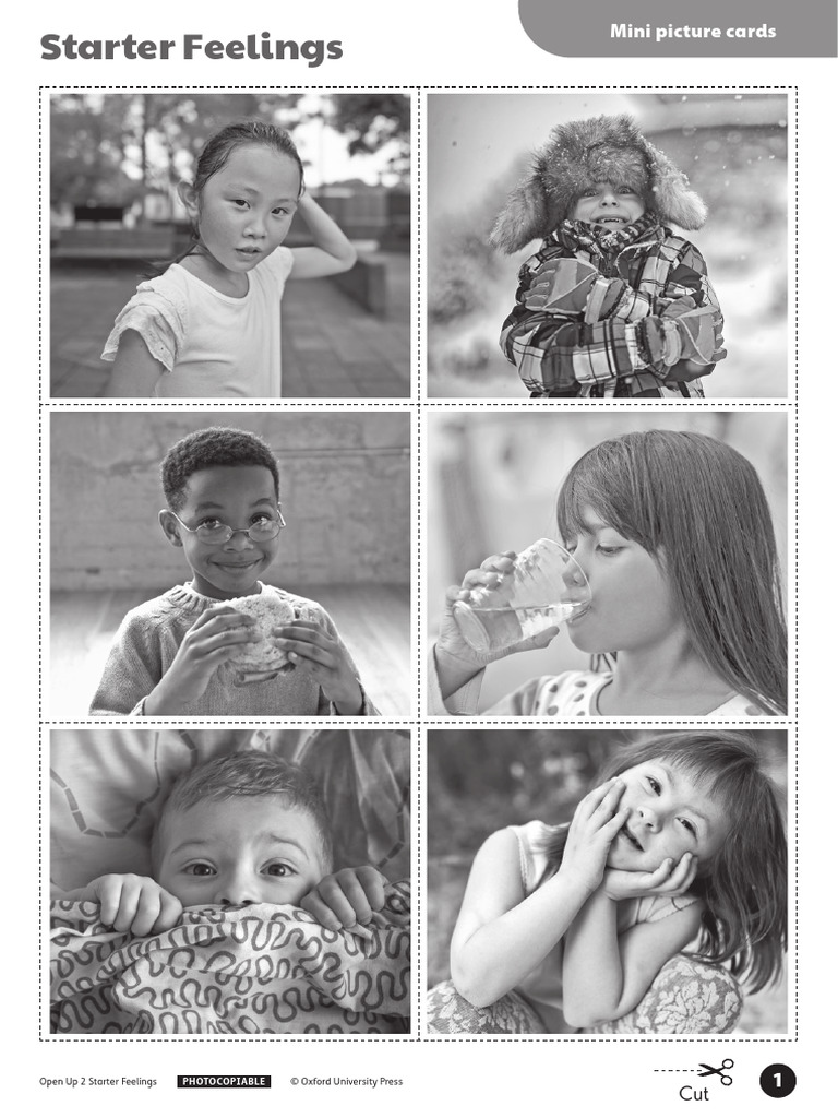 Open Up2 Mini Picture Cards | PDF