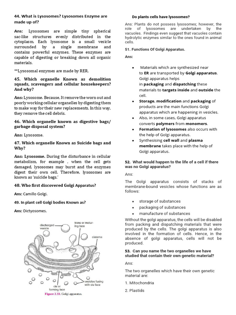 Part 3 Cell | PDF | Lysosome | Cell (Biology)