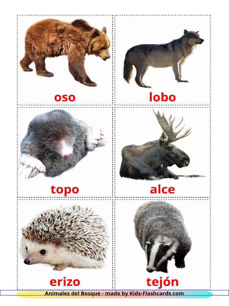 Animales Del Bosque 6 A4 | PDF