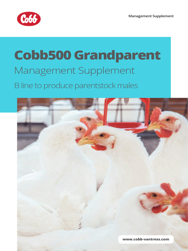 2021 Cobb500 GP B Line Supplement | PDF | Nutrients | Amino Acid