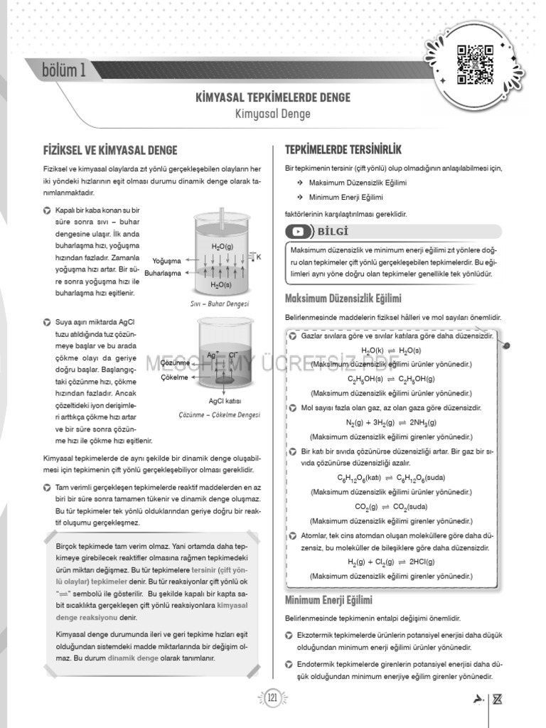 Ayt Kimya Kimyasal Tepkimelerde Denge Konu Anlatimi | PDF