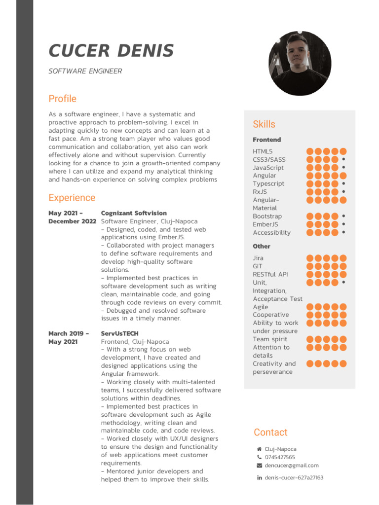 Cucer Denis-Software Engineer CV | PDF | Software Development | Software