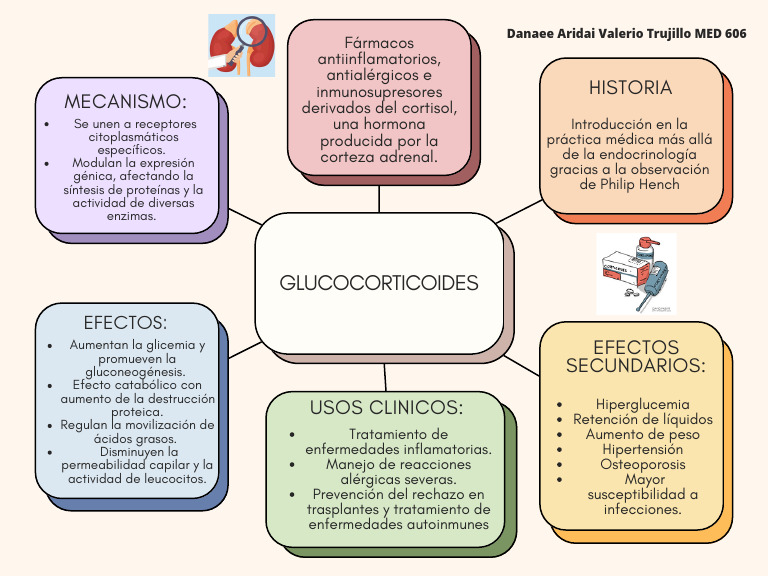 Glucocorticoides: Mecanismo y Usos Clínicos | PDF