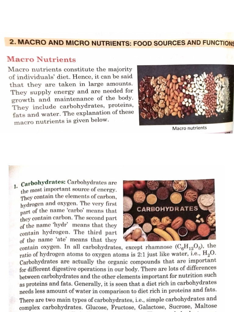 Macro and Micro Nutrients of Diet | PDF