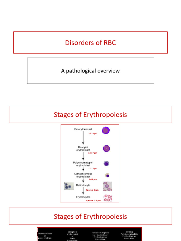 Anemia and Polycythemia-pathology 2017 (1) | PDF | Anemia | Blood