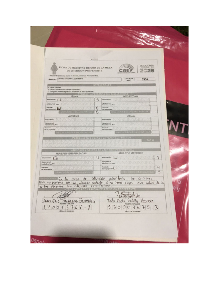 Registro de Atencion Cne | PDF