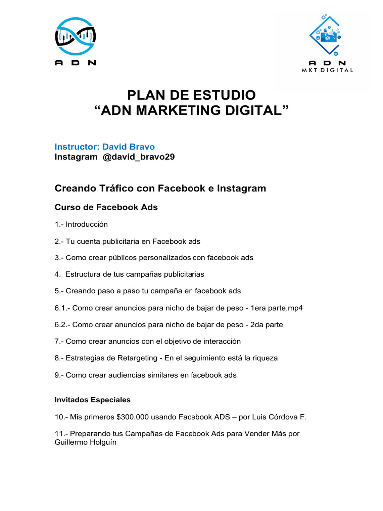 Plan de Estudio Adn Marketing Digital | PDF | Word Press | Facebook