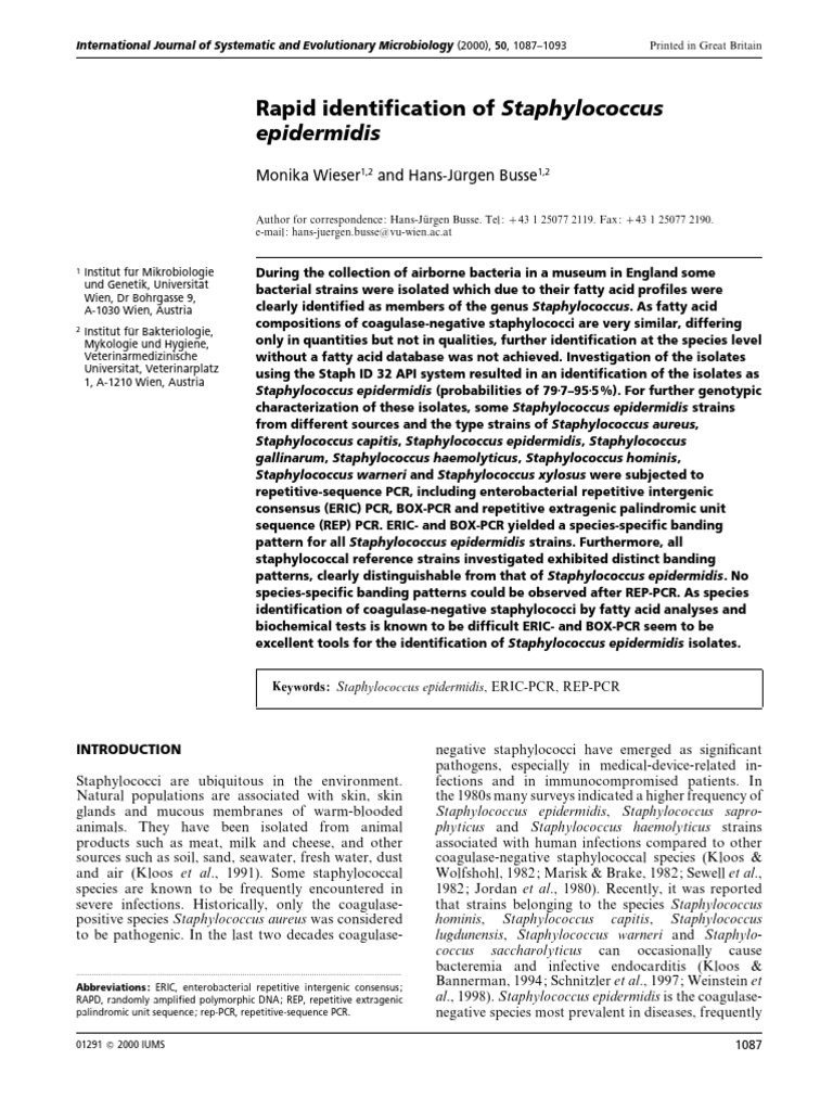 Identification of Epidermidis | PDF | Staphylococcus | Polymerase Chain ...
