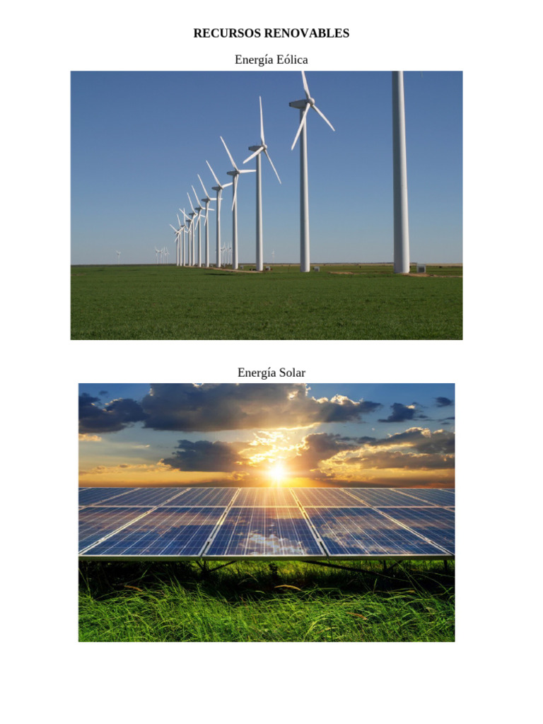 Recursos Renovables | PDF