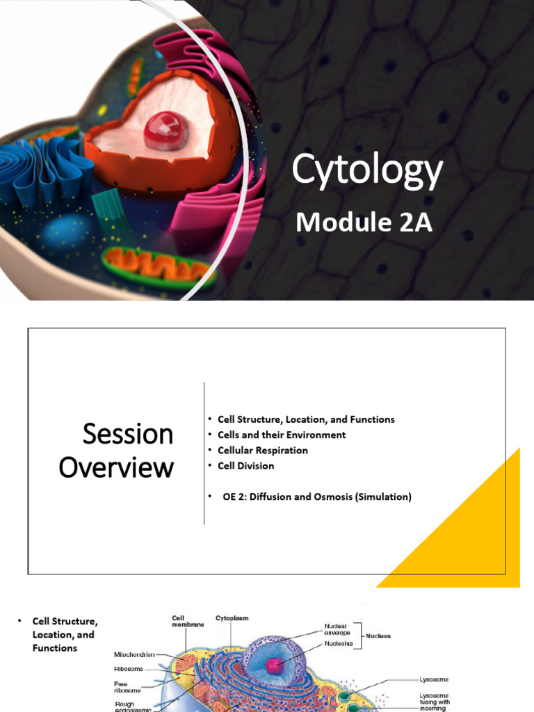 Module 2 Cytology and Histology | PDF