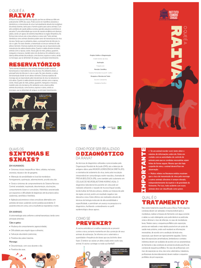 Folder o Que e A Raiva Iec | PDF | Raiva | Gatos