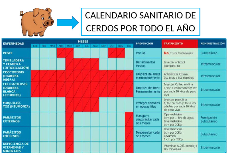 Calendario Cerdo Opbion B | PDF