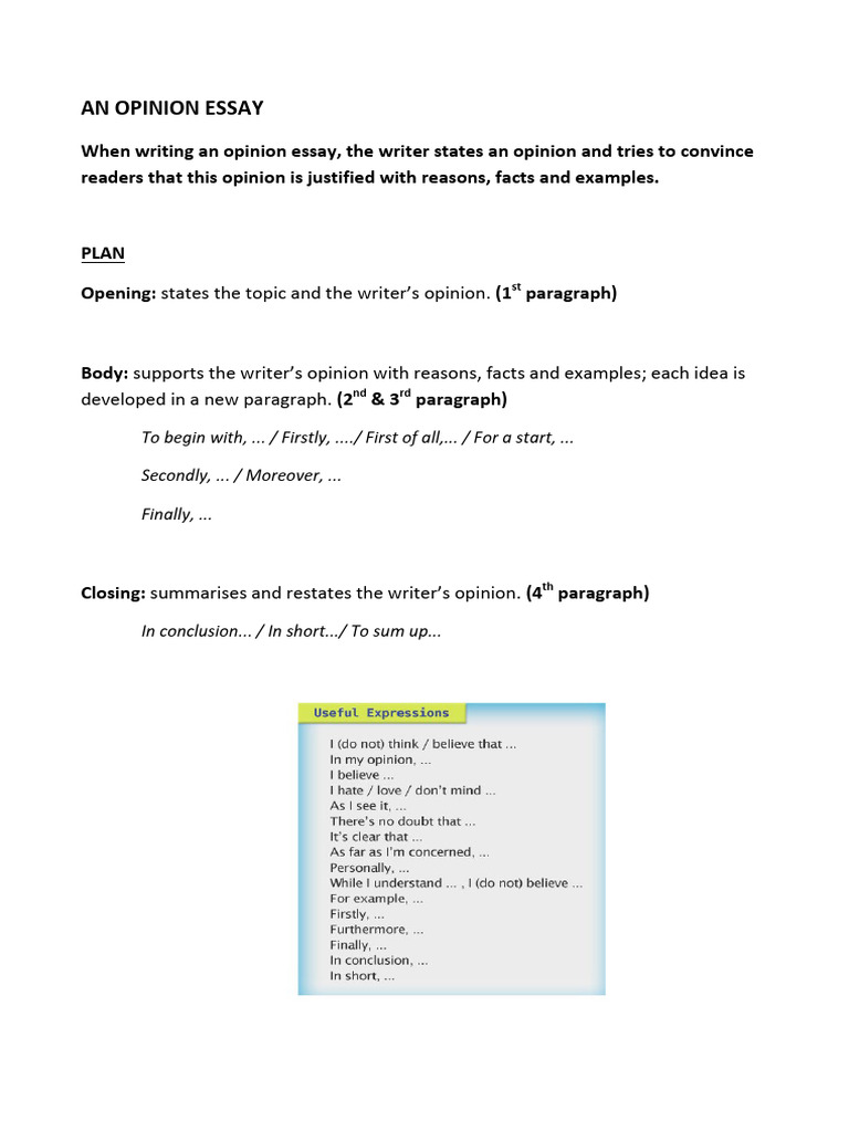 An Opinion Essay | PDF