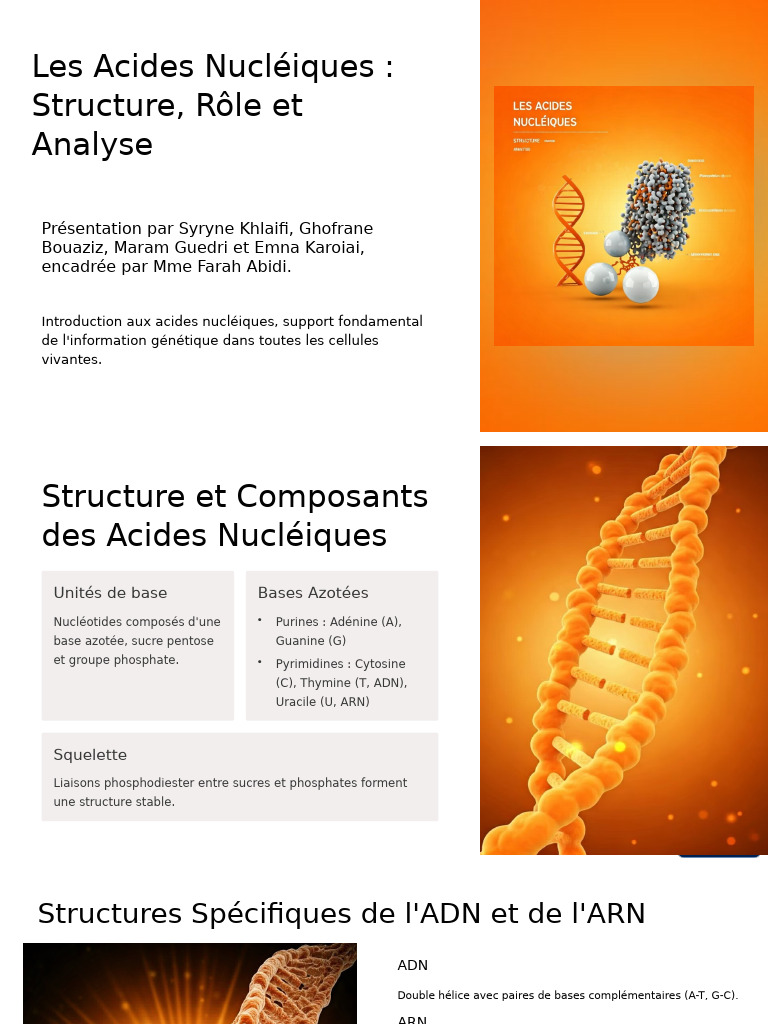 Acides Nucléiques : Structure et Analyse | PDF | Répertoire national ...