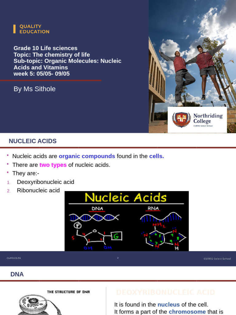 07 Grade 10 LS-Organic Molecules Nucleic Acids and Vitamins | PDF ...