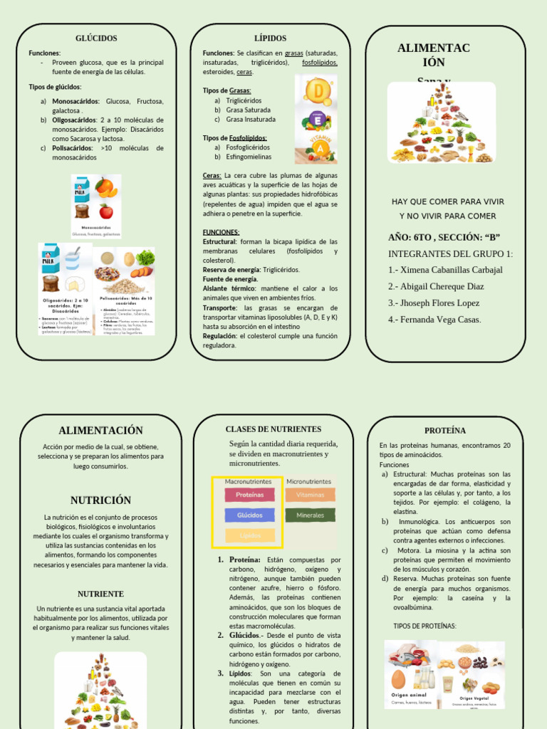 Triptico de La Alimentacion Saludable 2 | PDF | Lípido | Nutrientes