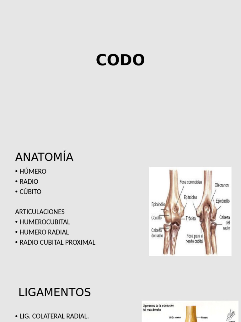 Codo 2 | PDF