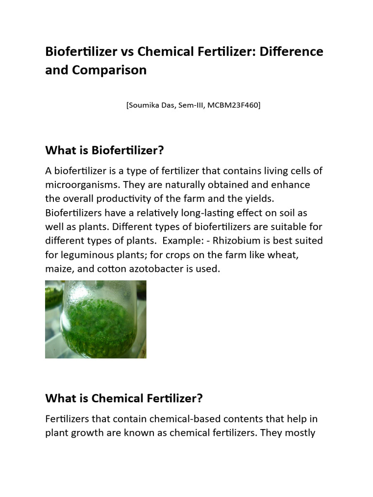 Biofertilizer Vs Chemical Fertilizer | PDF | Fertilizer | Soil