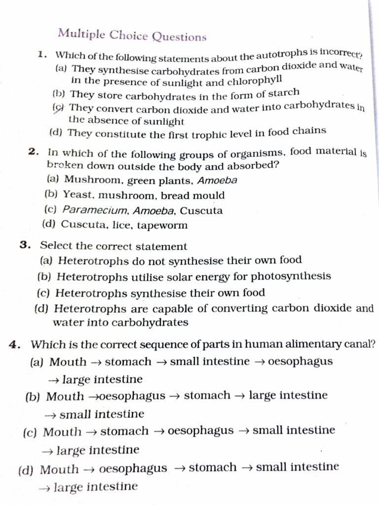 Nutrition Assignment Class 10 | PDF | Digestion | Stomach