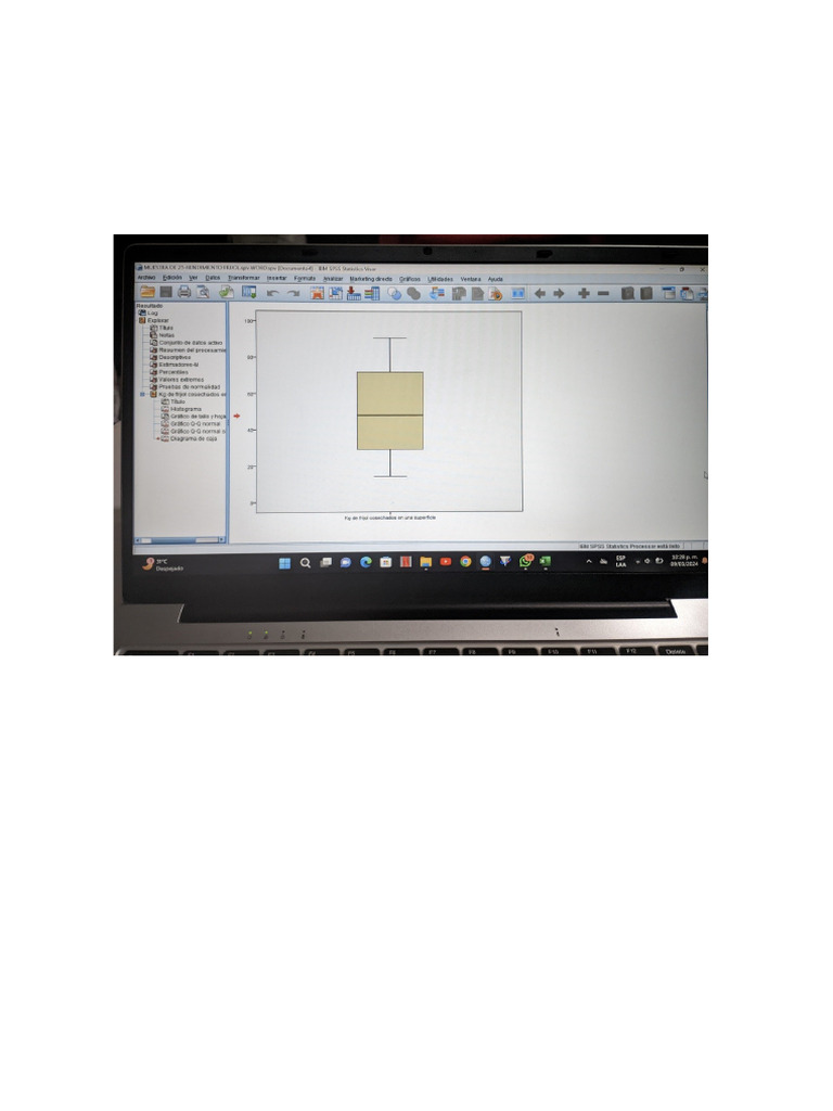 Ijol Muestras SPSS | PDF