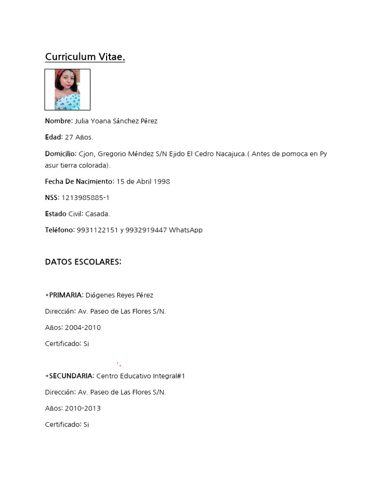 Curriculum Vitae Julia Actual 2025 JPR | PDF