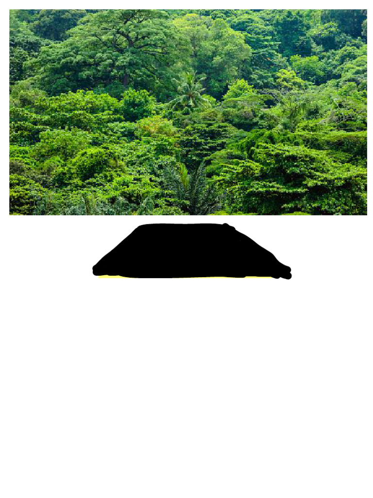 Ecological Imbalances Class 11 | PDF | Ozone Depletion | Greenhouse Effect