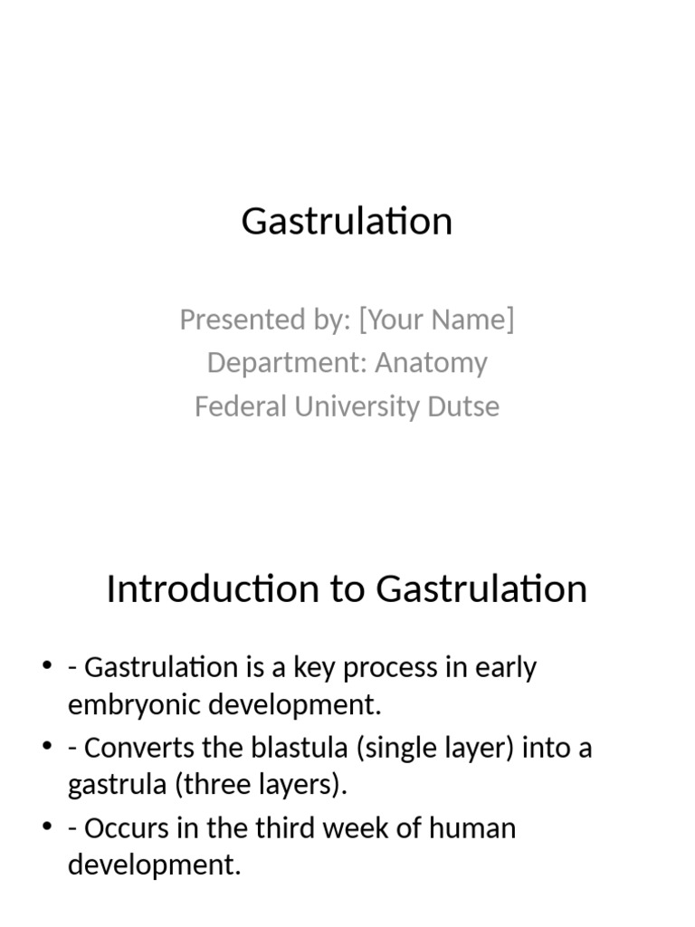 Understanding Gastrulation in Embryology | PDF