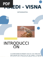 Lentivirus en ovinos: Maedi-Visna y diagnóstico | PDF | Retrovirus ...