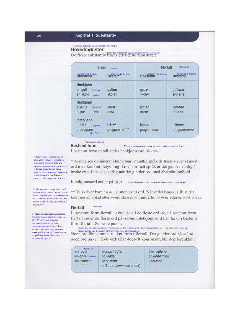 Substantiv 1.3 | PDF