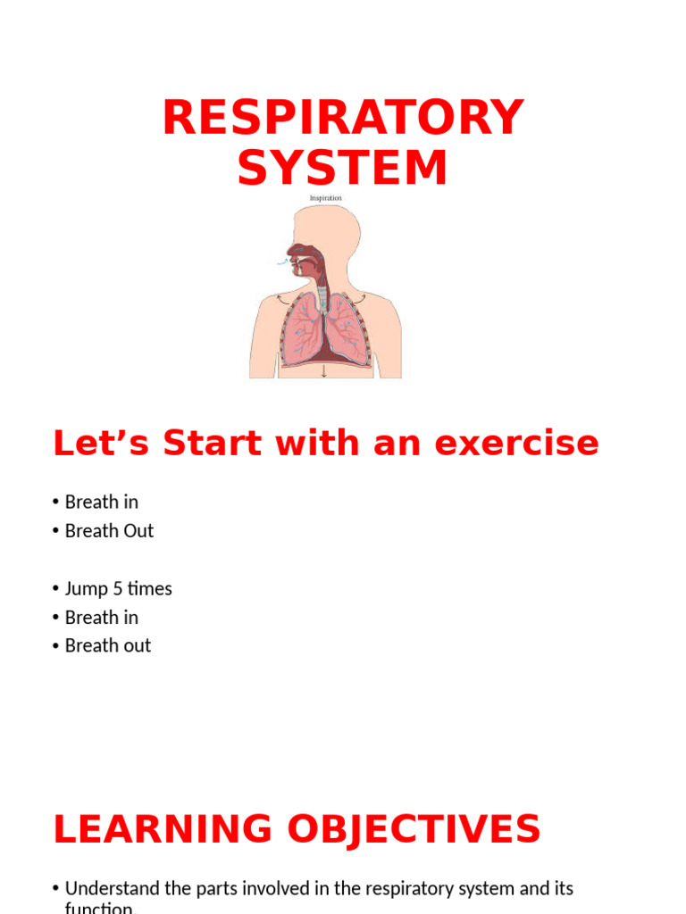 Respiratory System | PDF | Respiratory System | Breathing