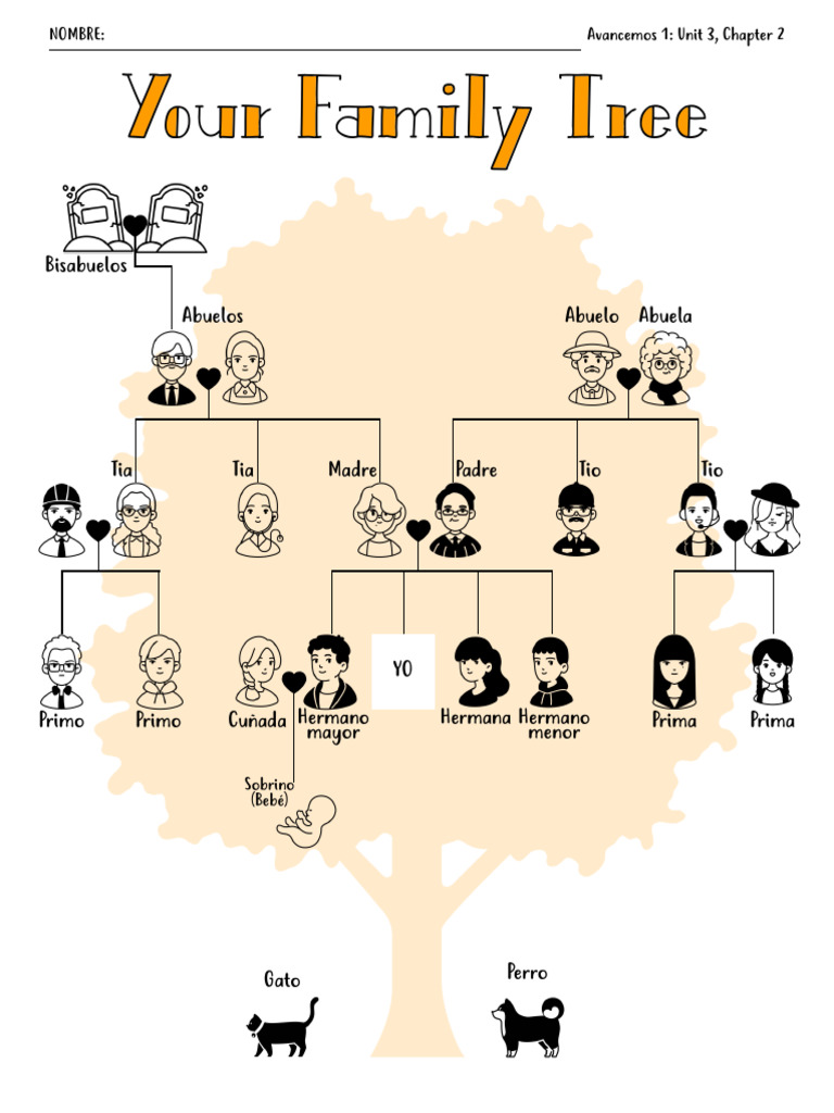 Avancemos 1 Unidad 3 Leccion 2 Cute Notes | PDF | Grammatical Gender ...