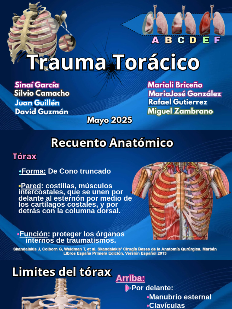 Trauma de Torax Rhoxiel - 20250511 - 180417 - 0000 | PDF | Tórax | Pulmón