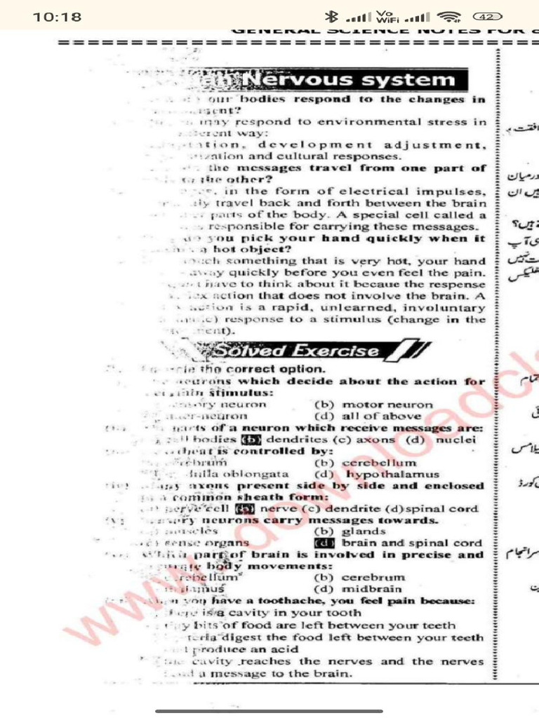Class 8th Notes | PDF