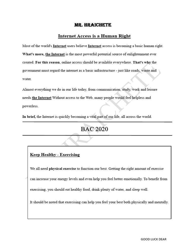 Internet Access (2) | PDF