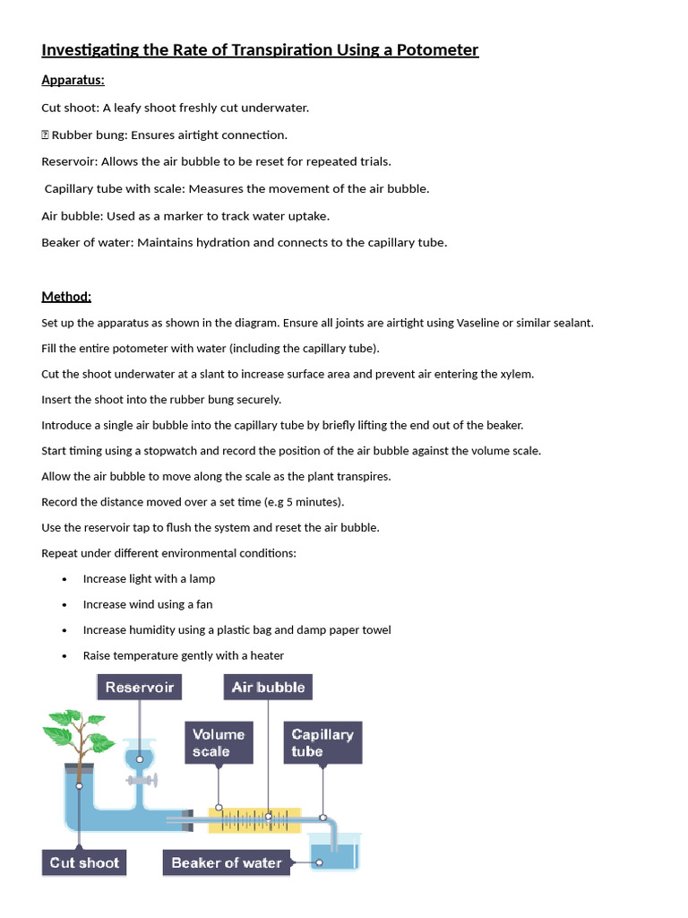 Transpiration Rate Experiment with Potometer | PDF