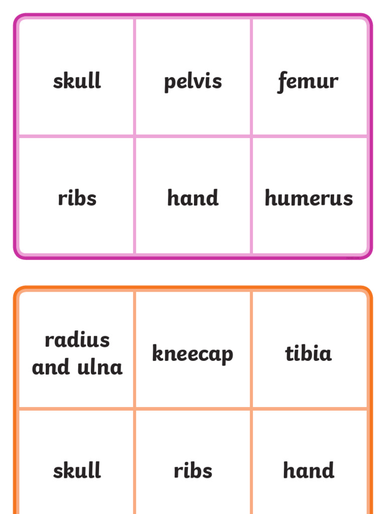 t2 S 056 Bones of The Body Bingo - Ver - 1 | PDF