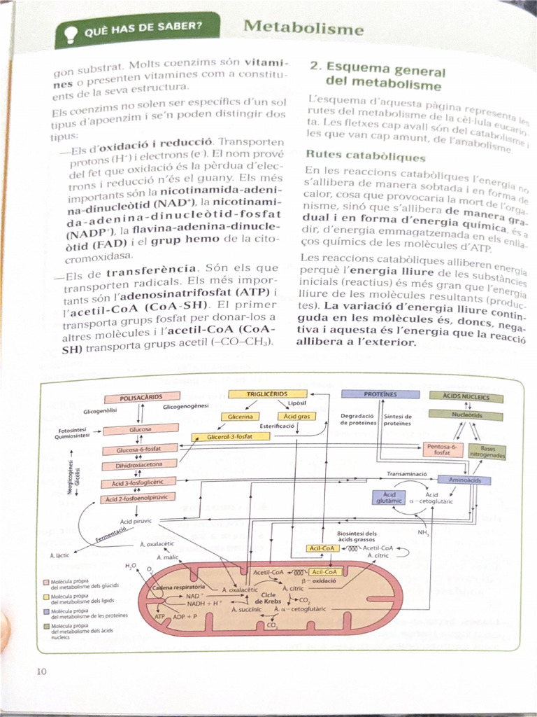 Document Escanejat 457 | PDF