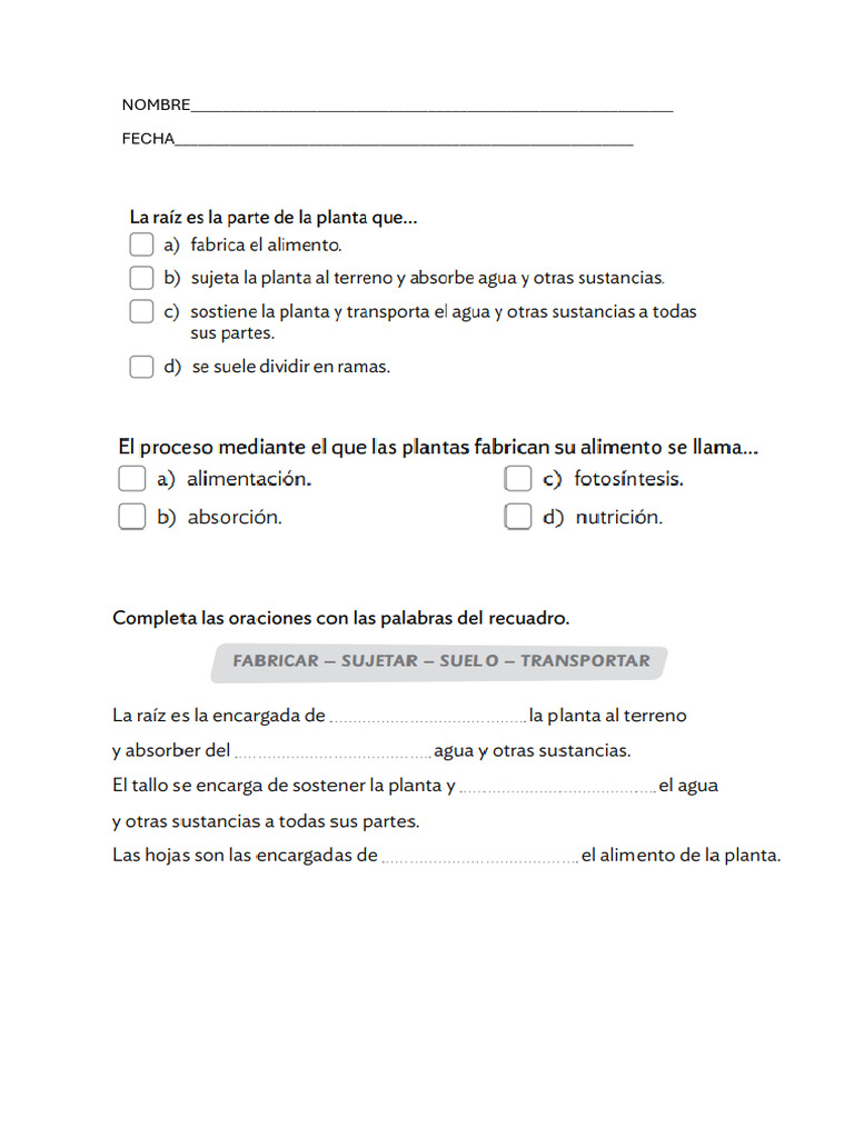 Examen Plantas 1 | PDF